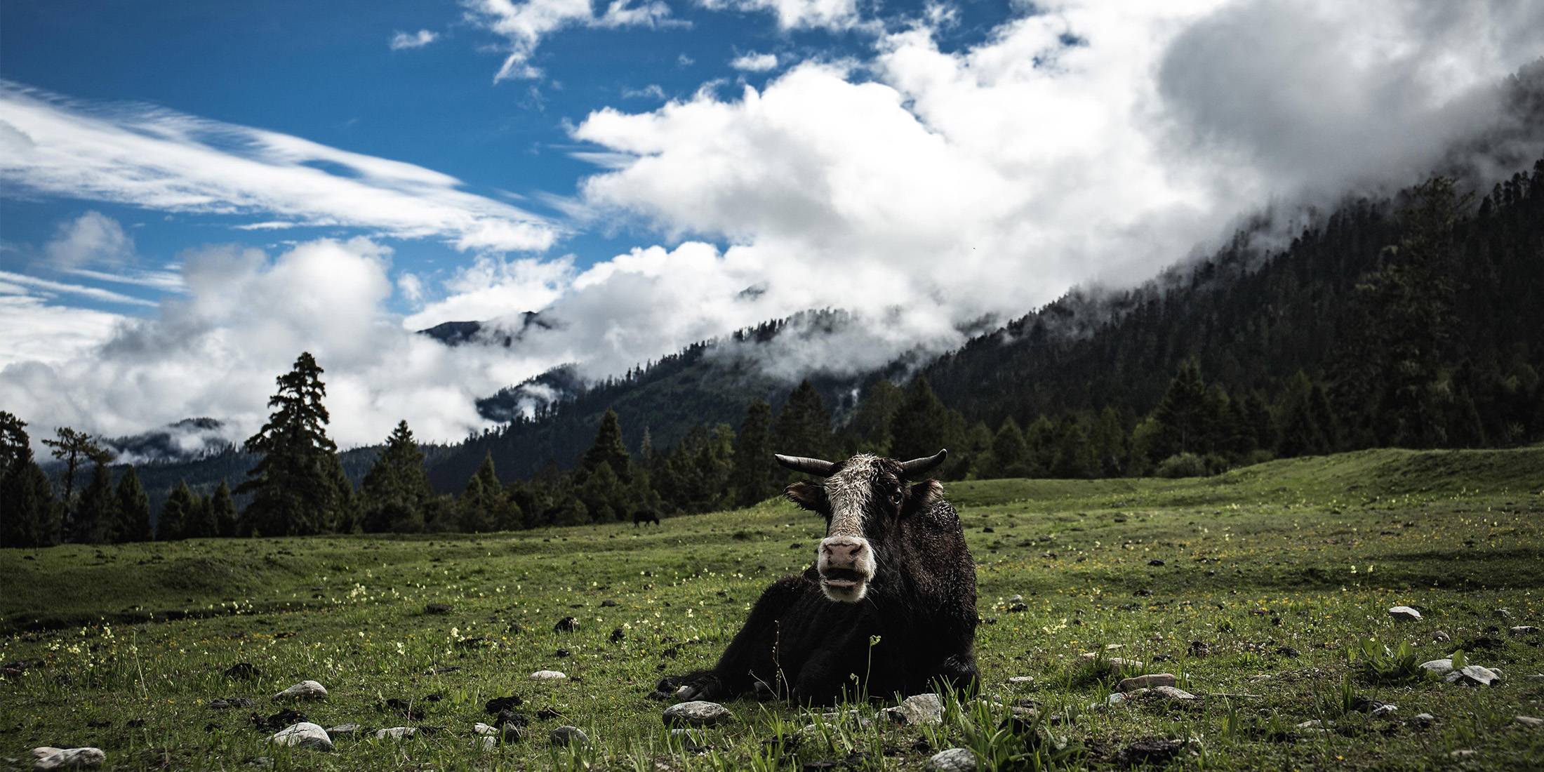 The Best Tibet Tour: Curated Experiences with Songtsam